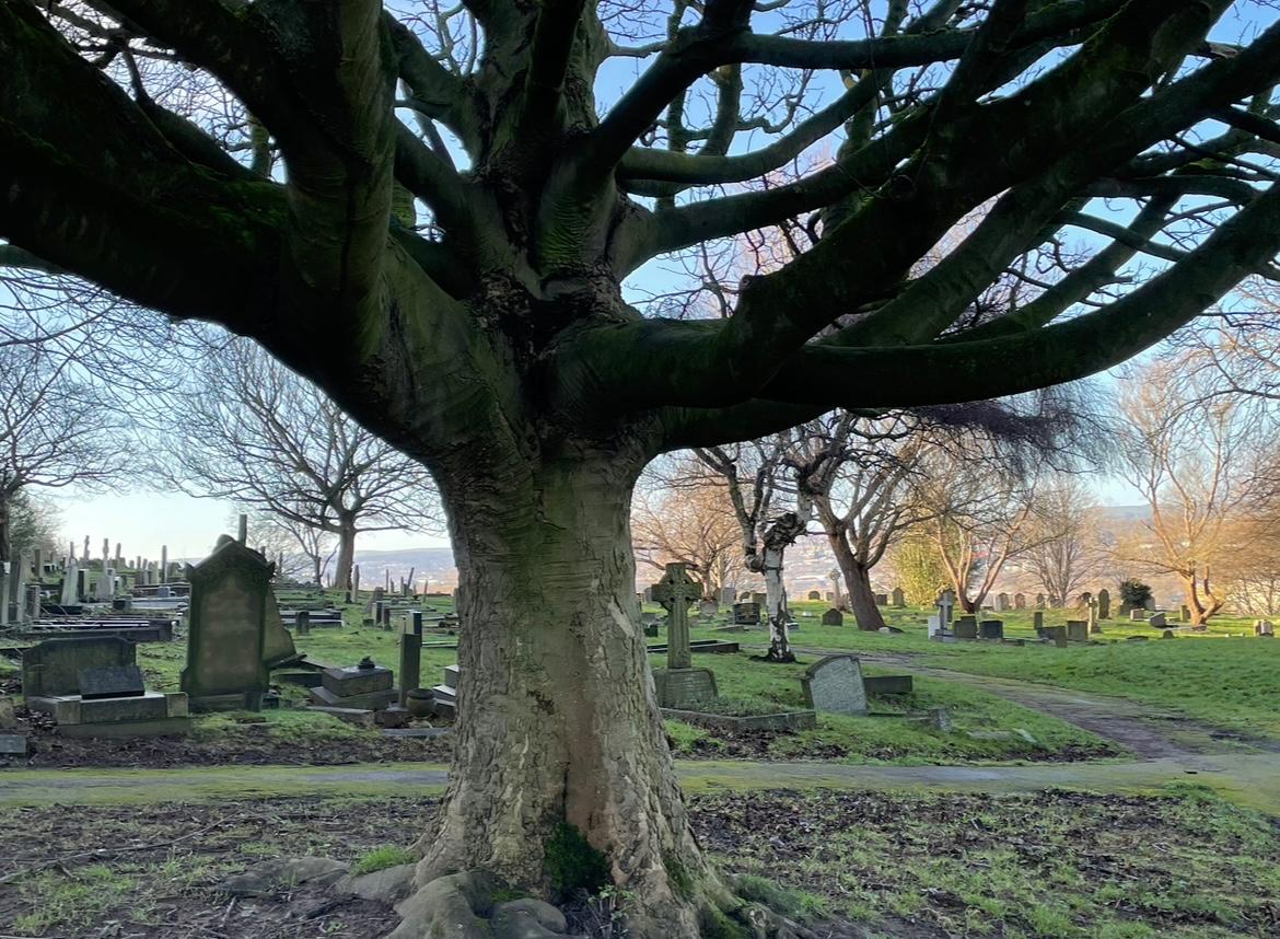 Boston Castle Rotherham – Discover Views and Hidden History